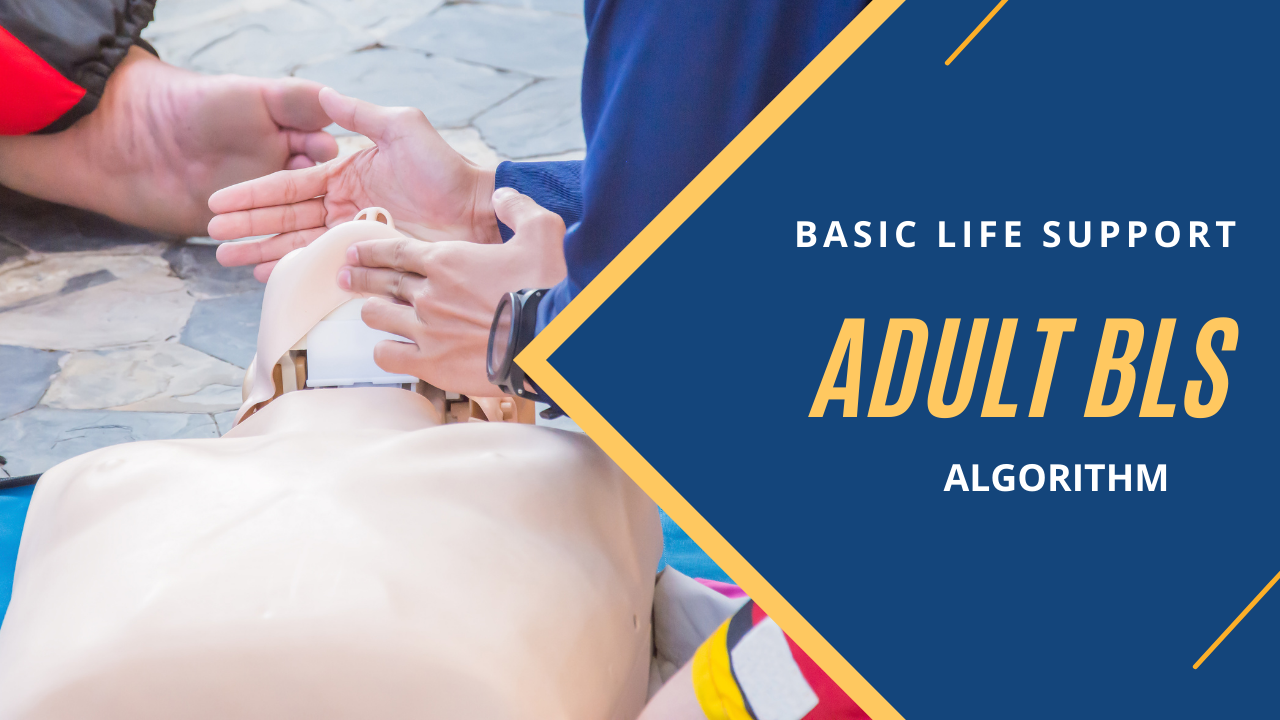 Adult BLS: Importance, Algorithm, and Techniques
